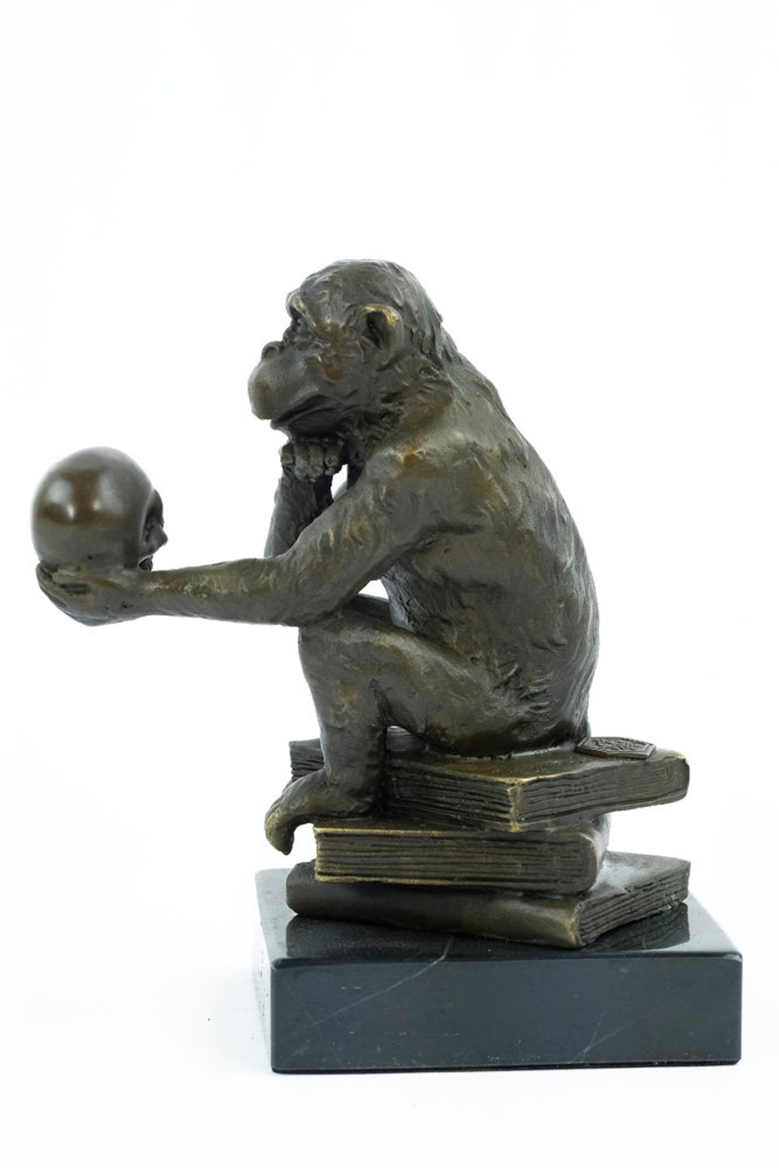 Bronze Philosophizing Monkey Holding a Skull Statue Animal Art | Etsy
