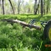 Plans to Make a Tractor Mounted (3 Point) Log Grapple - Etsy