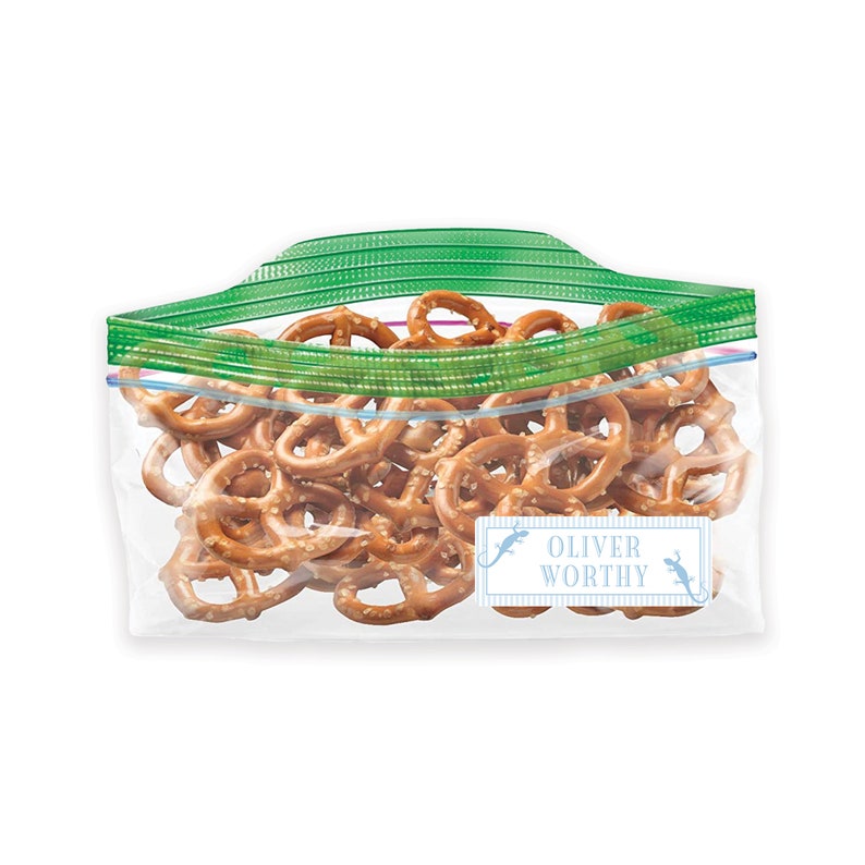 Lizard Back to School Weatherproof Vinyl Labels Children Classroom ...