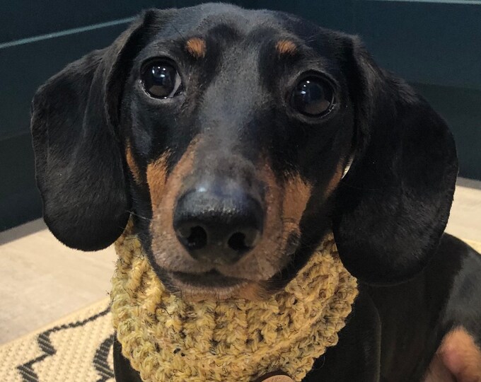 SnazzySausageDog - Etsy UK