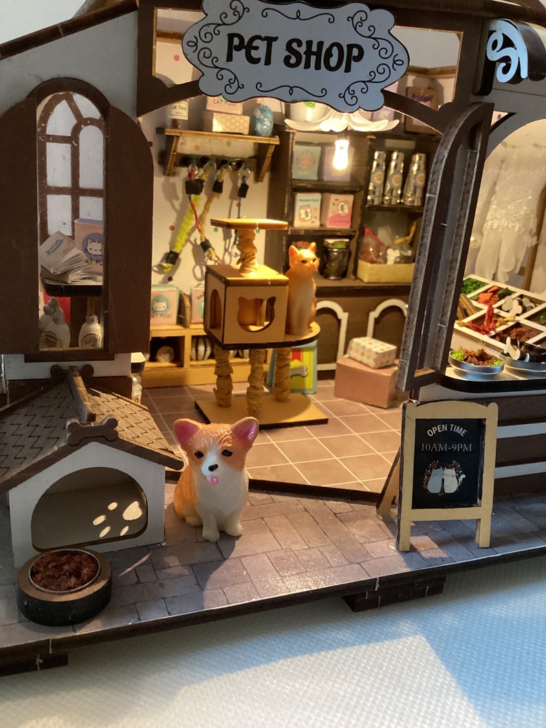 Miniature Diorama Pet Store Completed and Lighted Dollhouse Room - Etsy