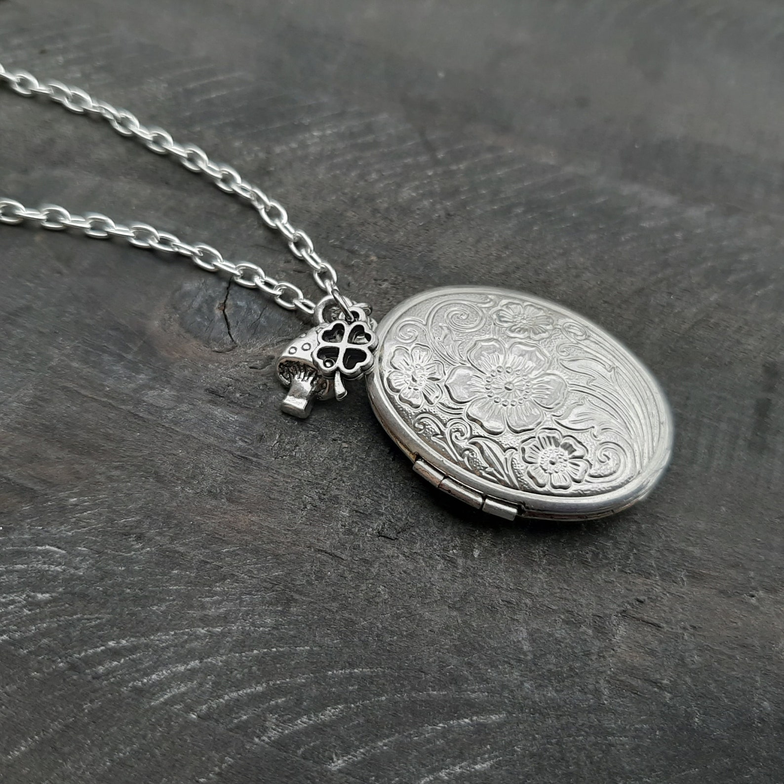 Medaillonkette Fotokette Medaillon Foto Kette Bild Kette - Etsy.de
