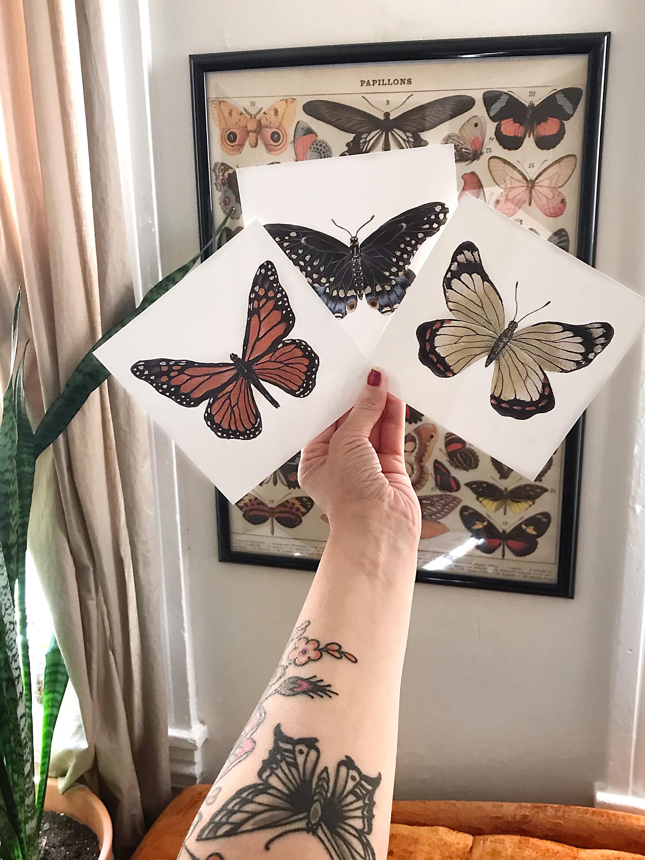 Butterflies - Set of 3 Prints | Butterfly Print Set | Colorful Wall Art ...