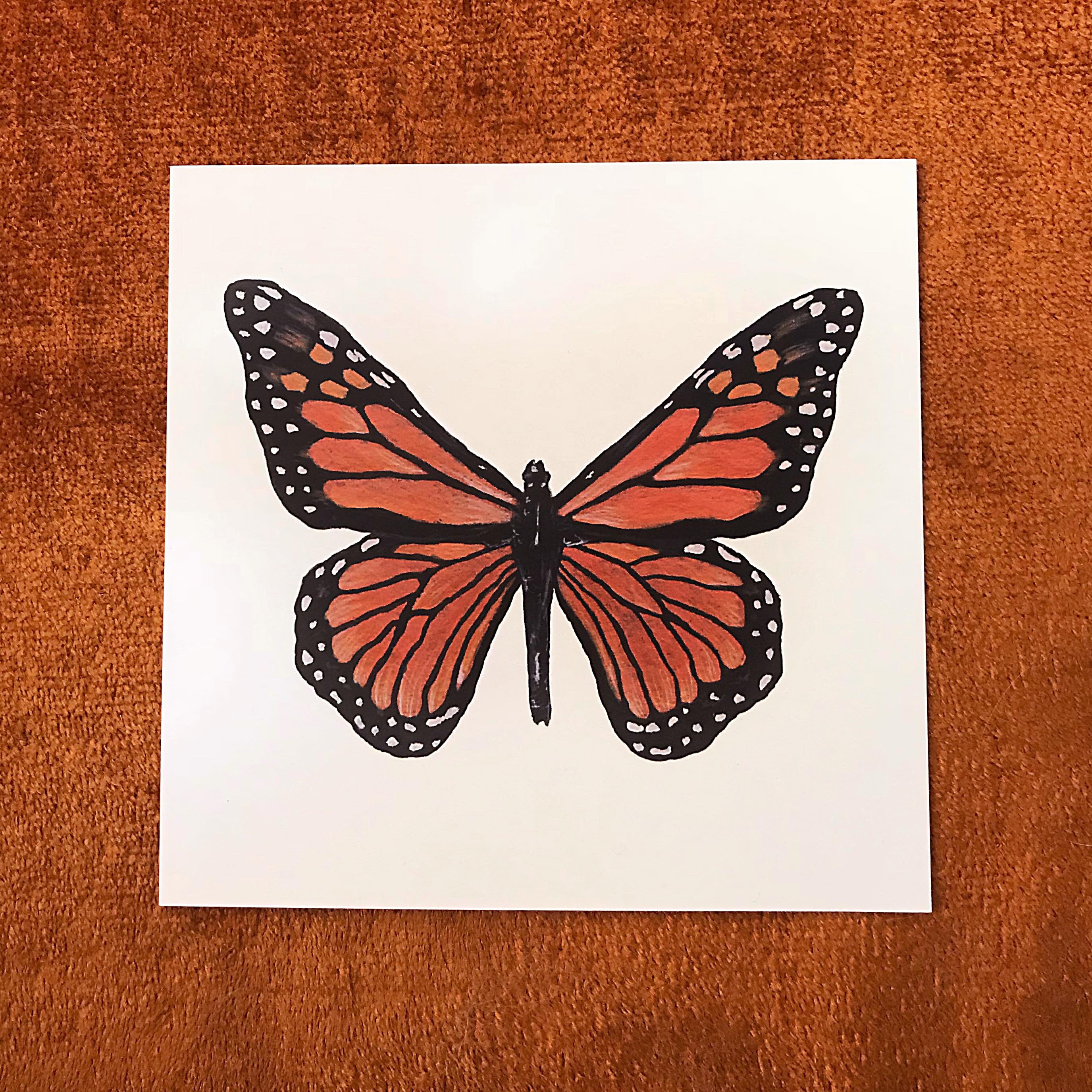 Butterflies Set of 3 Prints Butterfly Print Set Colorful - Etsy