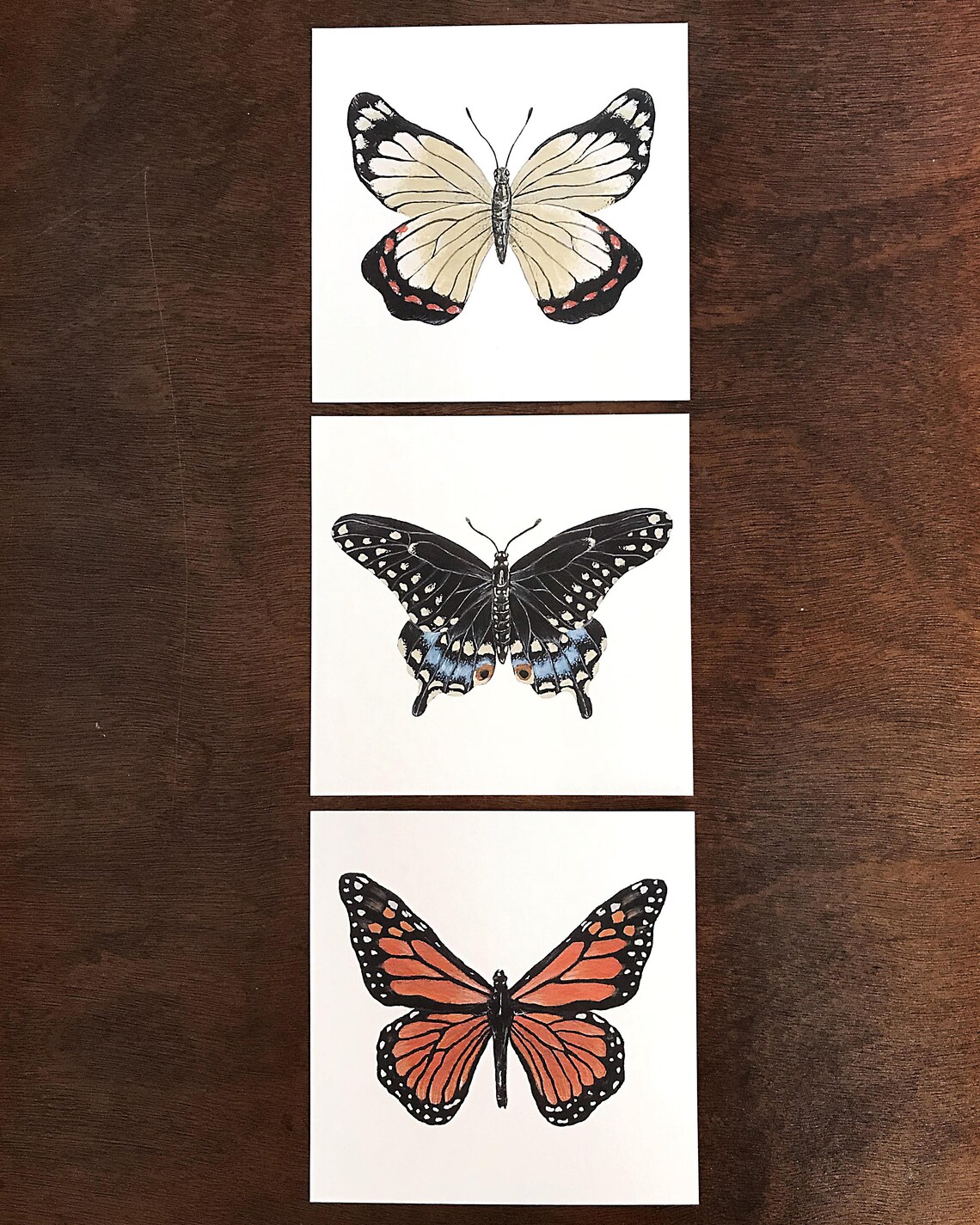 Butterflies Set of 3 Prints Butterfly Print Set Colorful - Etsy