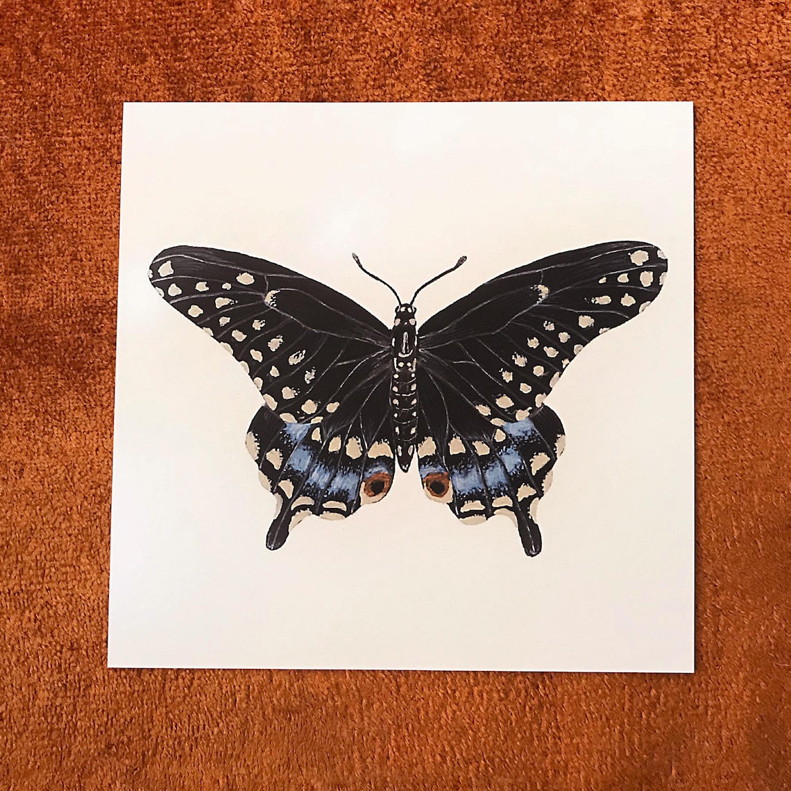 Butterflies Set of 3 Prints Butterfly Print Set Colorful - Etsy