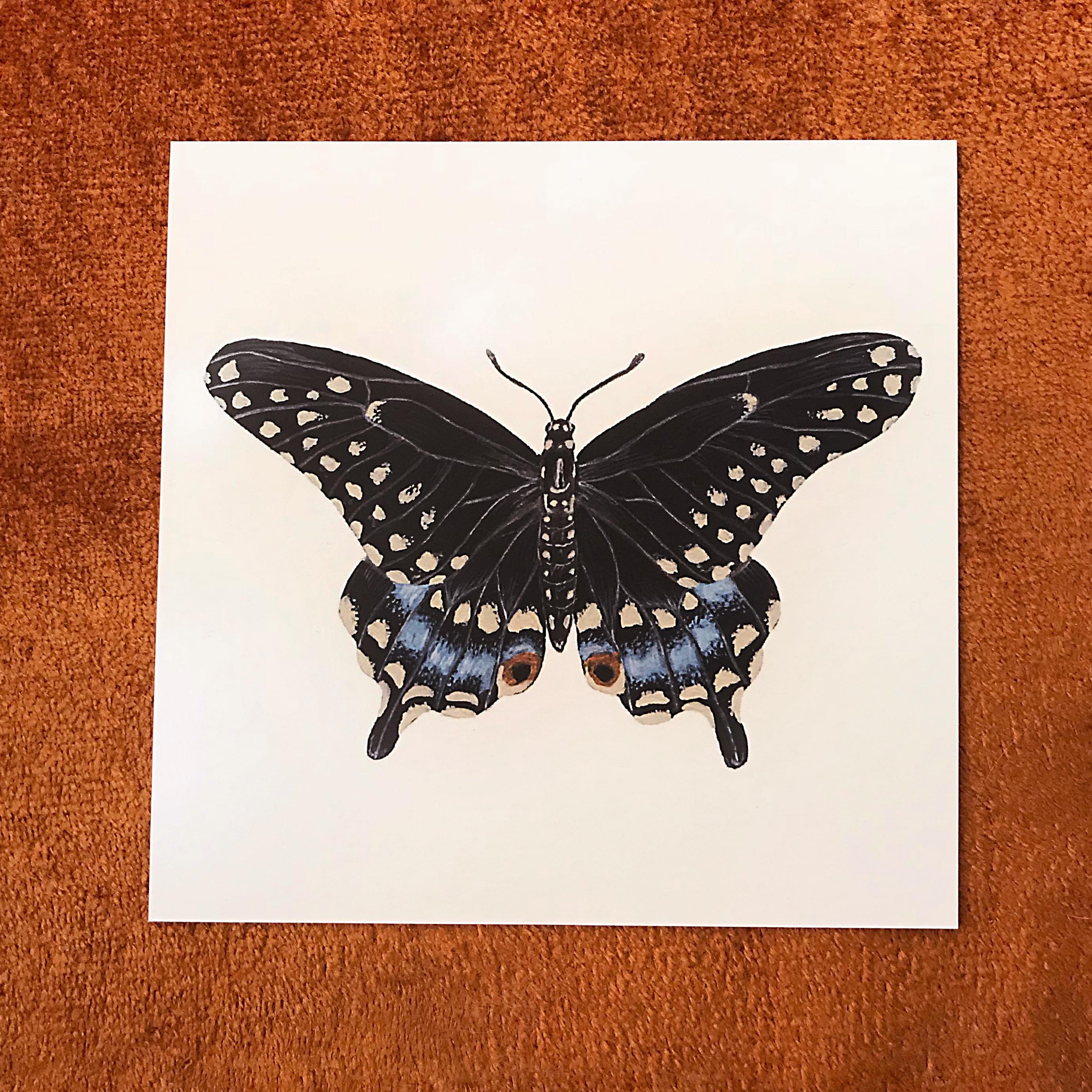 Butterflies Set of 3 prints butterfly print set colorful | Etsy