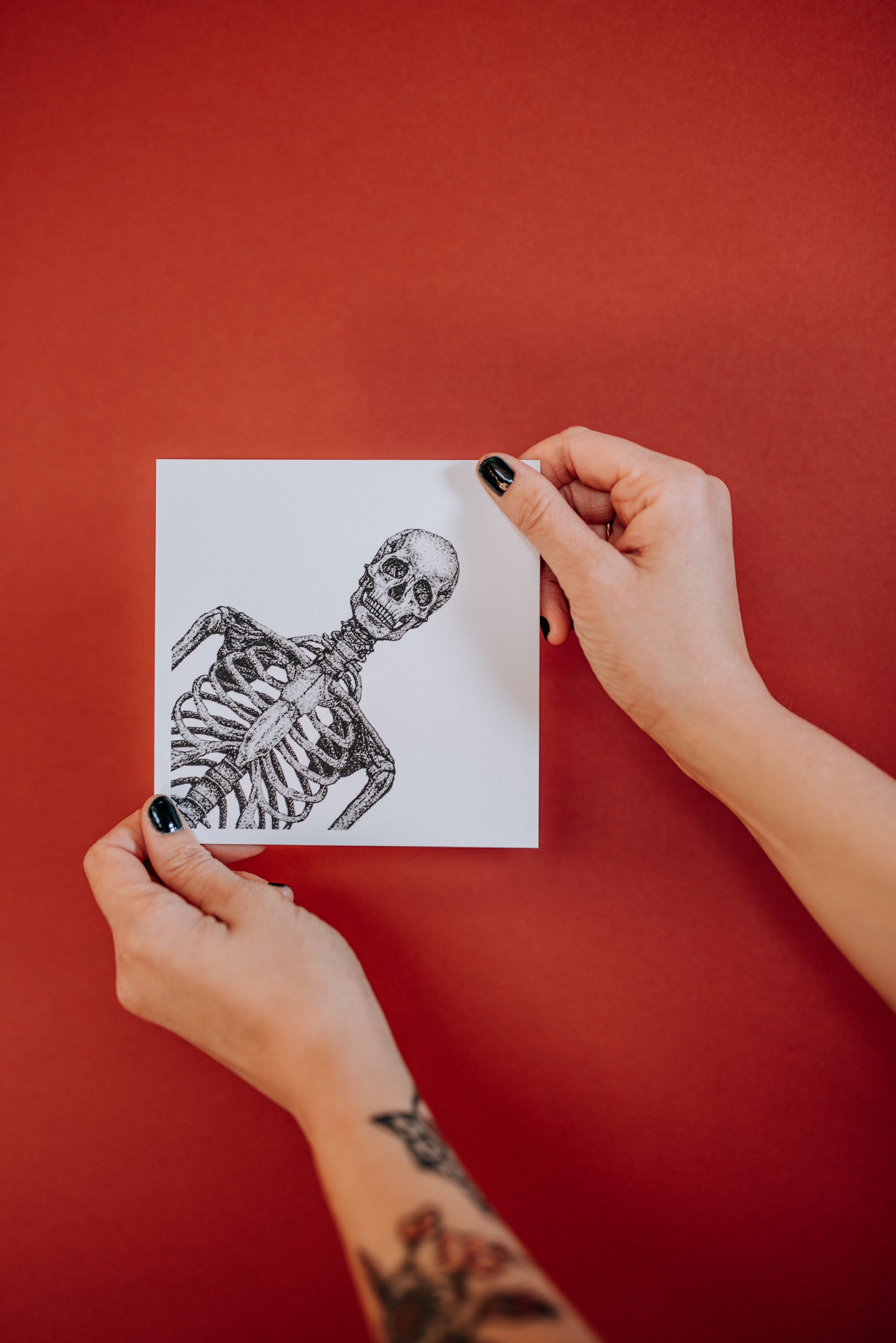 Cool Skeleton Drawings Tumblr