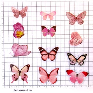 Pink Butterfly Stickers, Butterfly Sticker Pack, Transparent Background ...