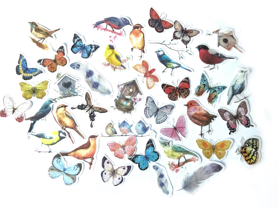 Nature Sticker Pack, Butterfly Birds Decal Set, Spring Summer Stickers ...