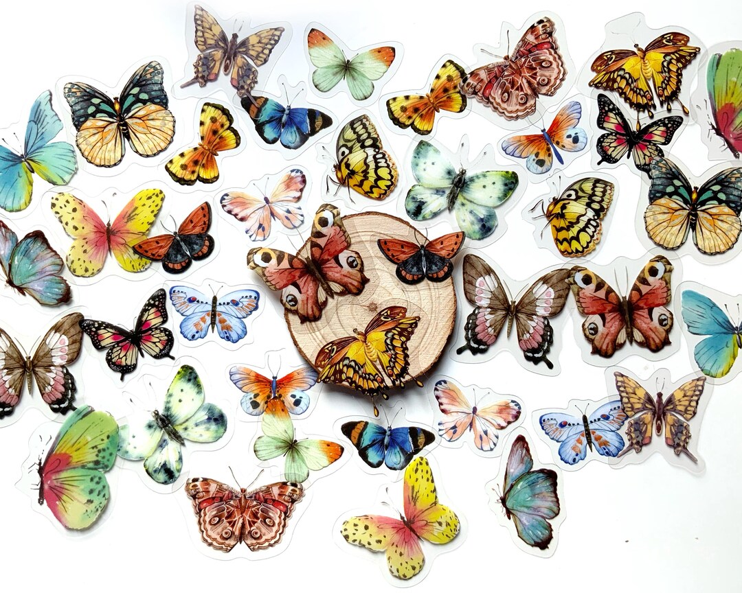 Butterfly Stickers, Multi Colour Butterfly Sticker Pack, Transparent ...