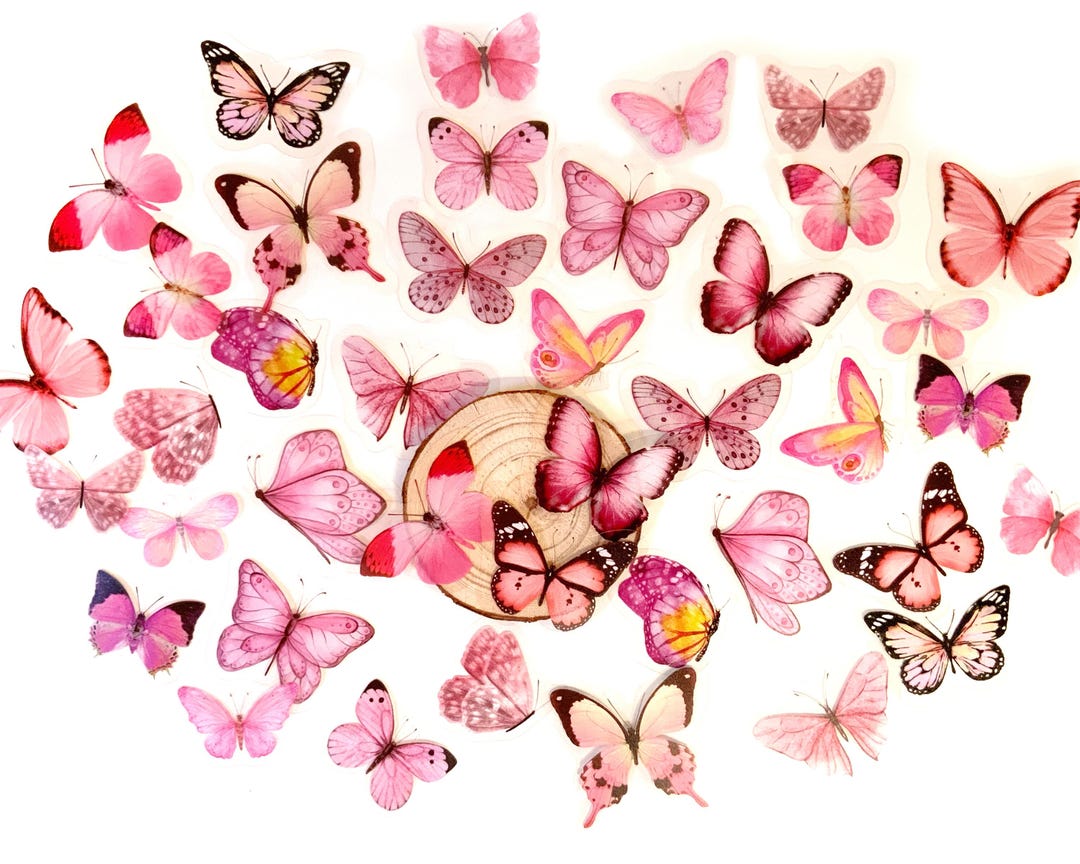 Pink Butterfly Stickers, Butterfly Sticker Pack, Transparent Background ...