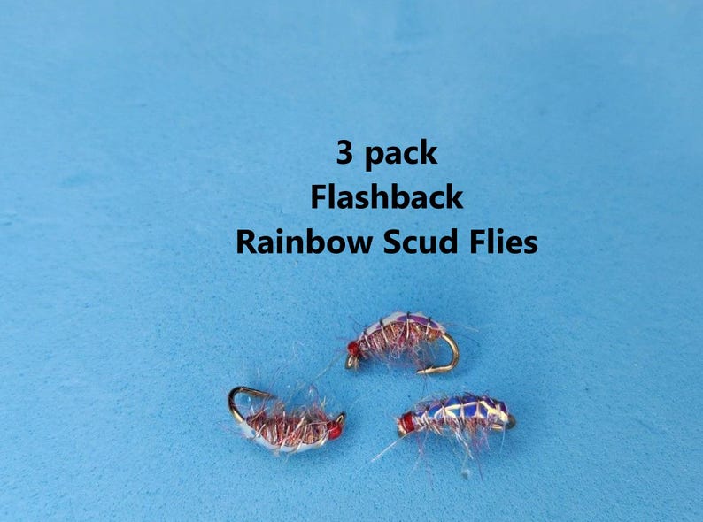 3 Pack Flashback Rainbow Scud Flies - Trout Flies - Panfish Flies - Etsy