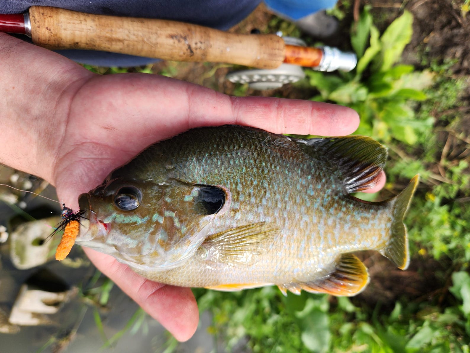 3 Pack Tungsten Bead Head Mop Fly - Choose Your Color - Panfish Fly ...