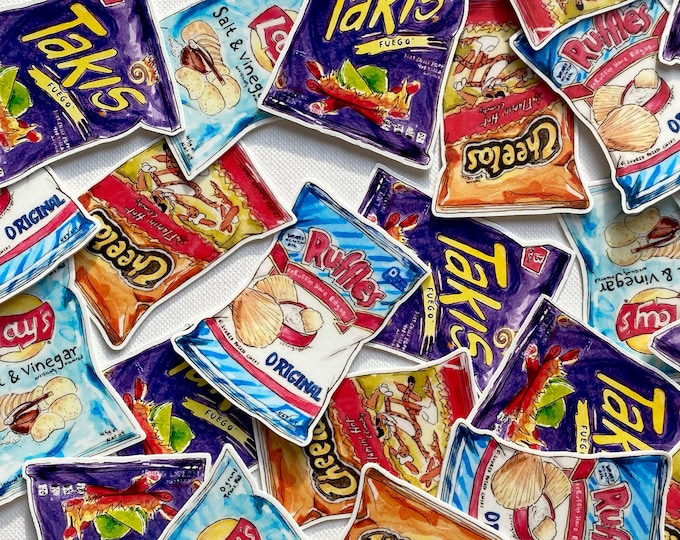 Snack Lover's Chip Bag Stickers- Flamin Hot Cheetos, Salt and Vinegar ...