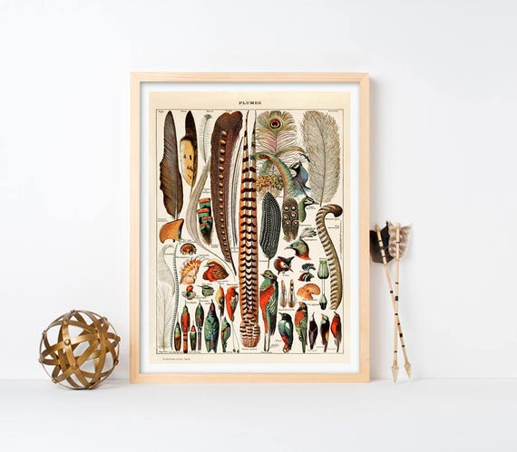 ART curated by Paper Parade Co. on Etsy