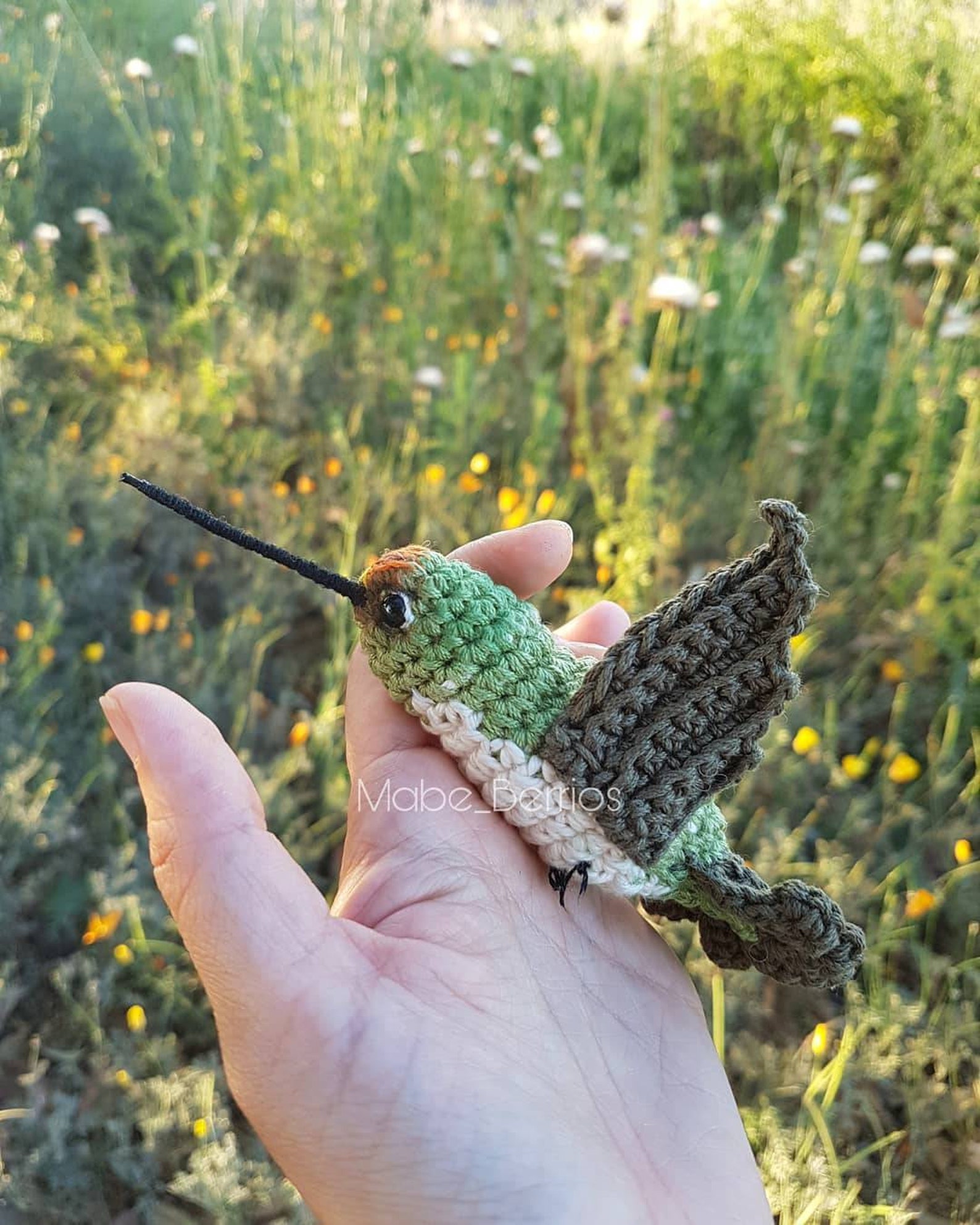 PATRÓN COLIBRÍ AMIGURUMI - Etsy España