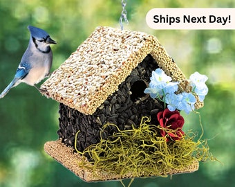 Edible Bird Home, Birdseed Birdhouse, Bird Seed House, Handmade Bird ...