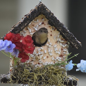 Edible Bird Home, Birdseed Birdhouse, Bird Seed House, Handmade Bird ...