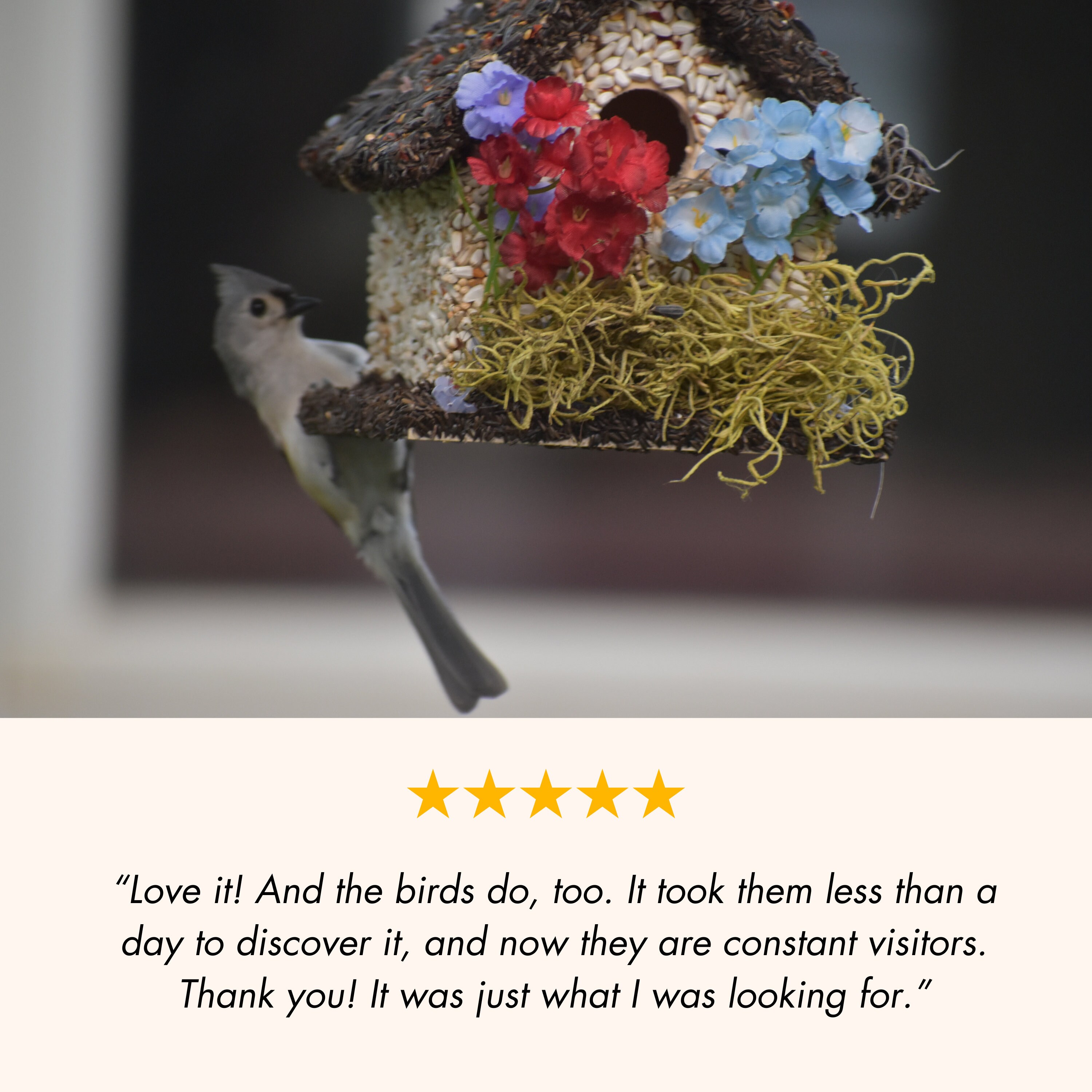 Edible Bird Home, Birdseed Birdhouse, Bird Seed House, Handmade Bird ...