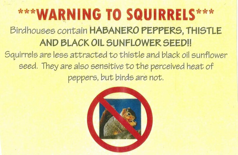 Edible Bird Home, Birdseed Birdhouse, Bird Seed House, Handmade Bird ...