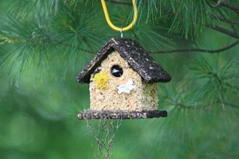 Edible Bird Home, Birdseed Birdhouse, Bird Seed House, Handmade Bird ...