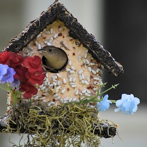 Edible Birdhouse: Handmade Bird Seed House, Squirrel Deterrent, USA ...