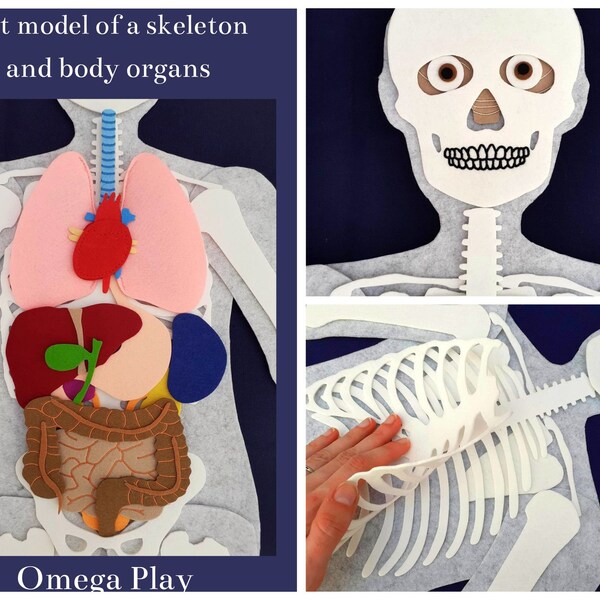 Organ Body in Felt - Etsy