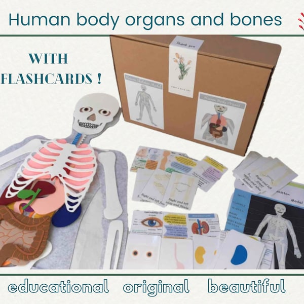 Human Body - Etsy