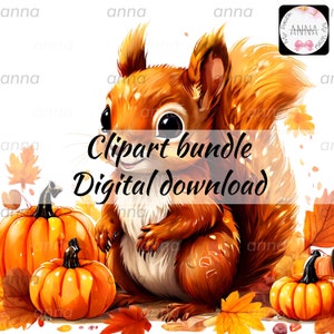 14 PNG Cute Autumn Squirrel Clipart Instant Download Sublimation Design ...