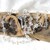 Anglican Rosary, Purple Rose on White Ceramic, Multi Denominations, 488 ...