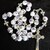 Anglican Rosary, Purple Rose on White Ceramic, Multi Denominations, 488 ...