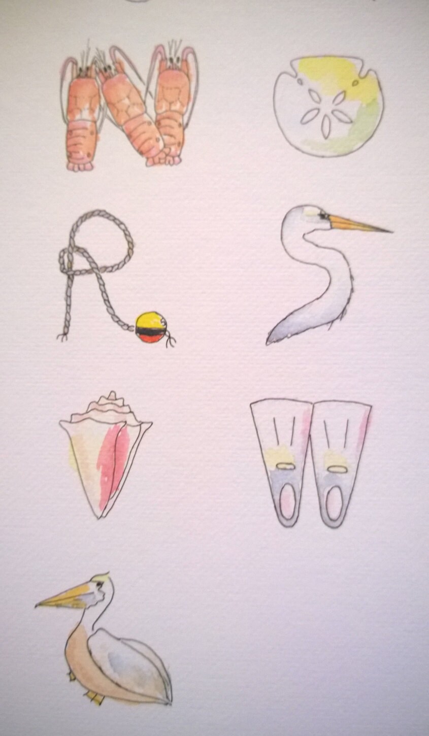 The Florida Keys Abc's - Etsy
