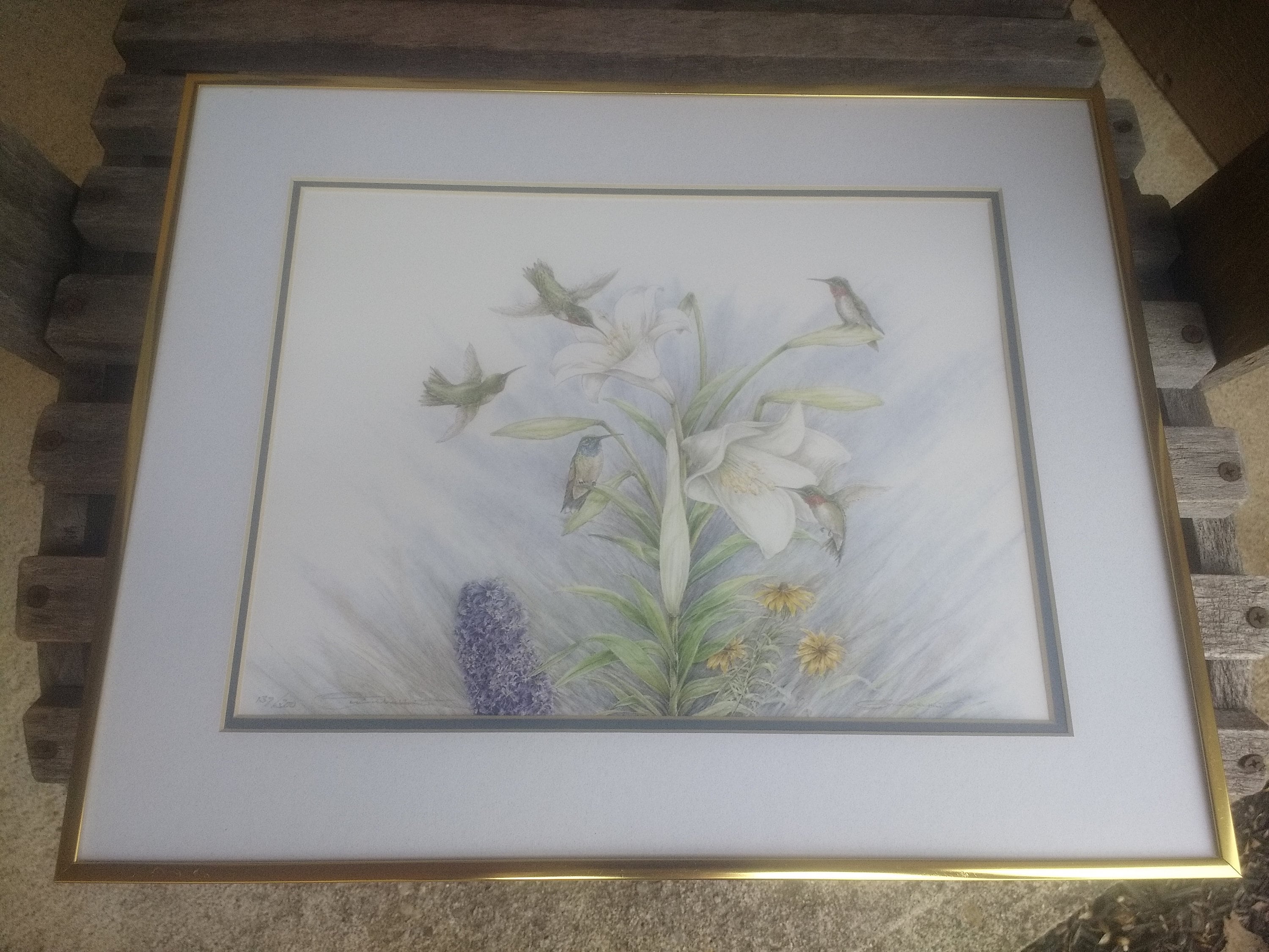 Vintage Frank M Hnat Hummingbird Art Print Artist Signed | Etsy