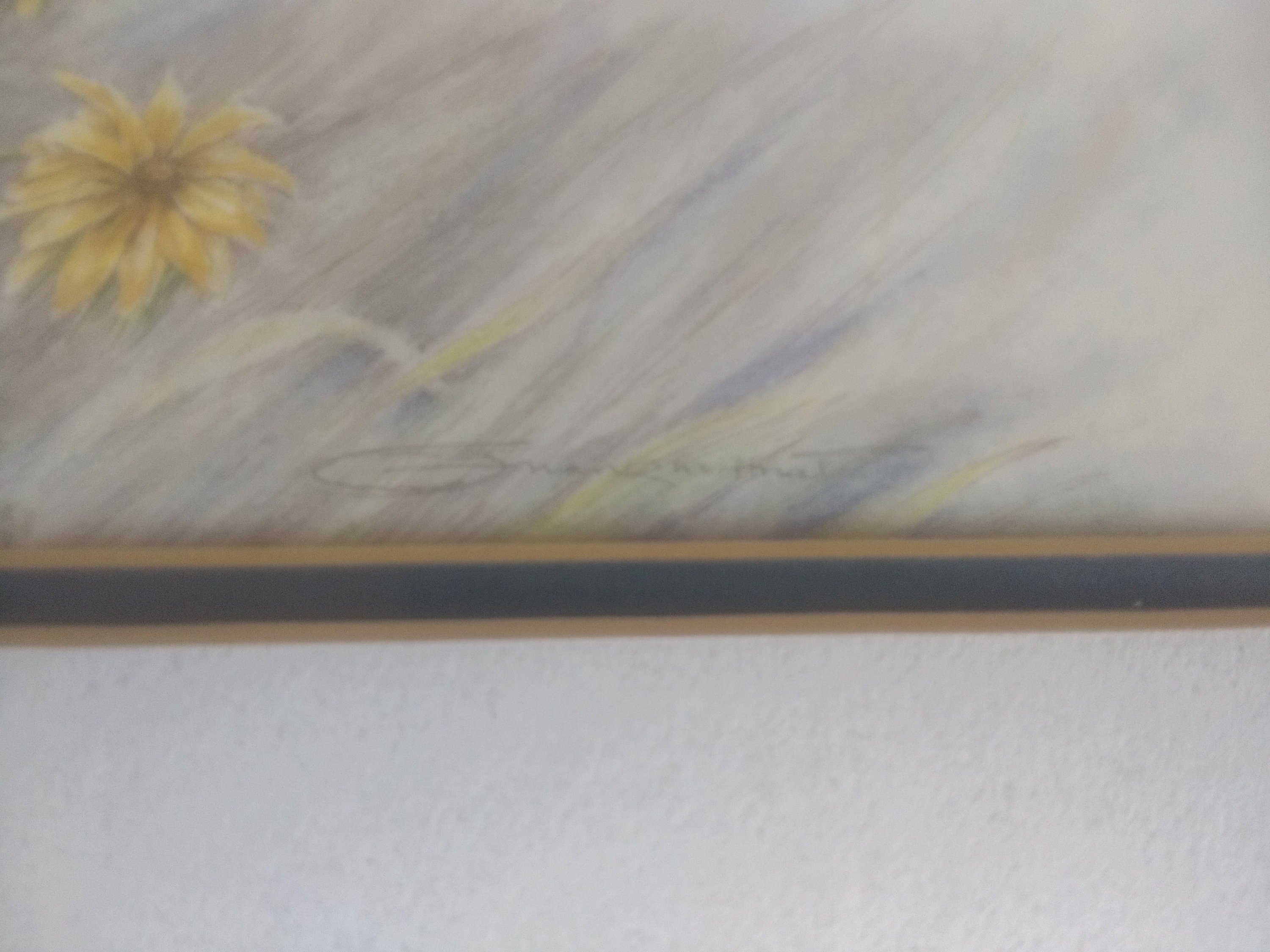 Vintage Frank M Hnat Hummingbird Art Print Artist Signed - Etsy 日本