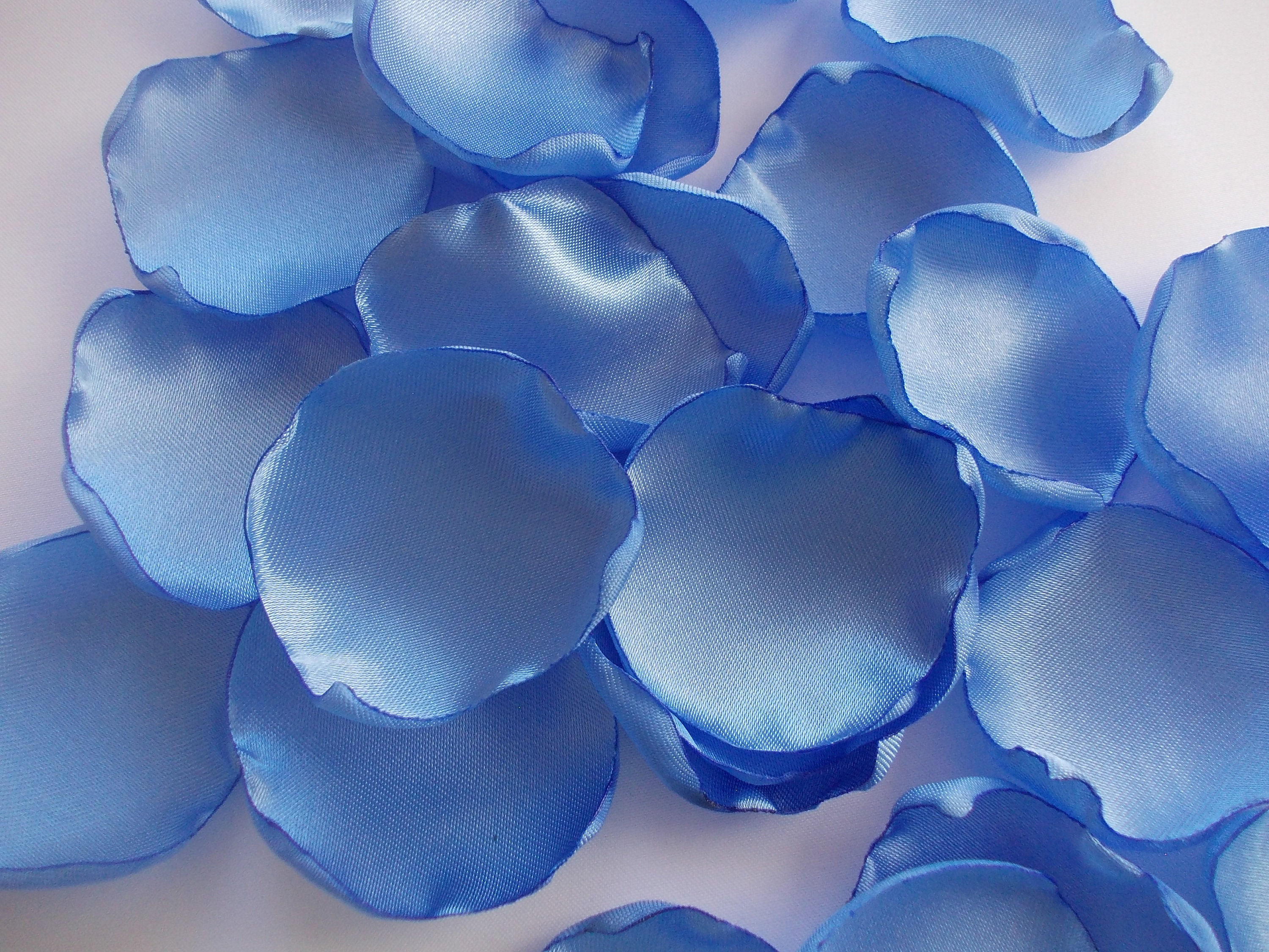 Blue Satin Rose Petals Sky Blue Wedding Petals Blue Flower - Etsy
