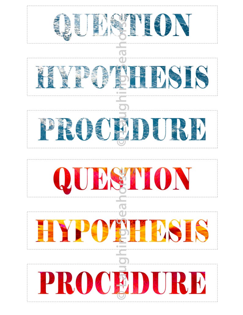 CUSTOM Printable Science Project Labels - Etsy