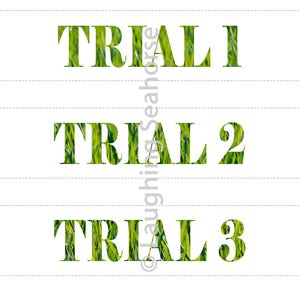 Printable Green Grass Growth Science Project Labels - Etsy