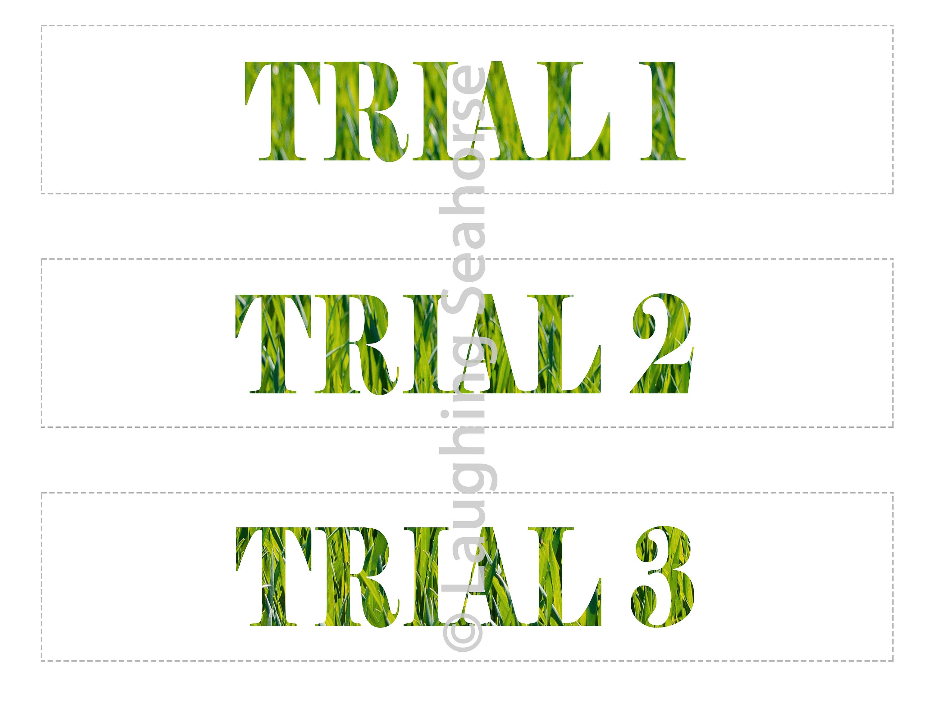 Printable Green Grass Growth Science Project Labels - Etsy