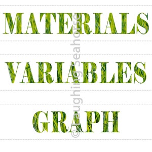 Printable Green Grass Growth Science Project Labels - Etsy