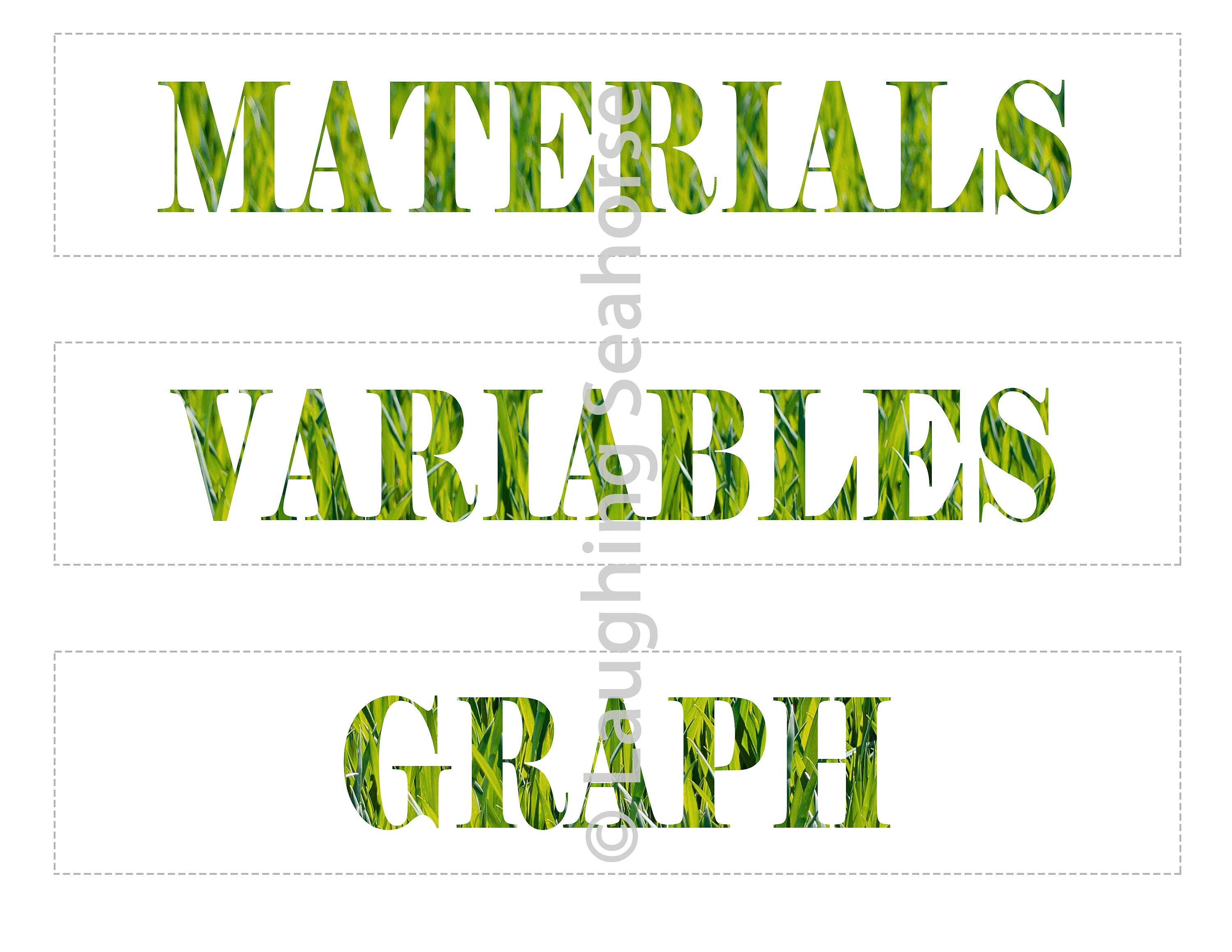 Printable Green Grass Growth Science Project Labels - Etsy