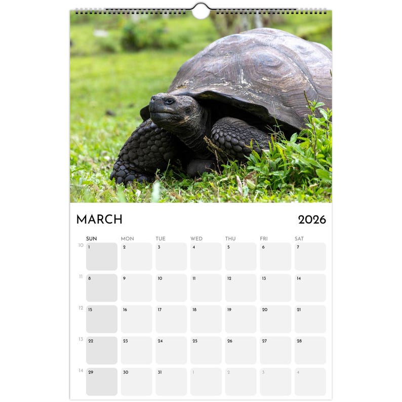 Galapagos Animal Calendar 2026 – Travel Gift, Wildlife Photography - Etsy