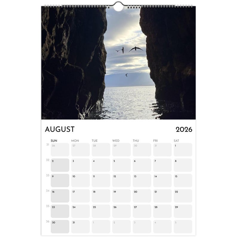 Galapagos Animal Calendar 2026 – Travel Gift, Wildlife Photography - Etsy