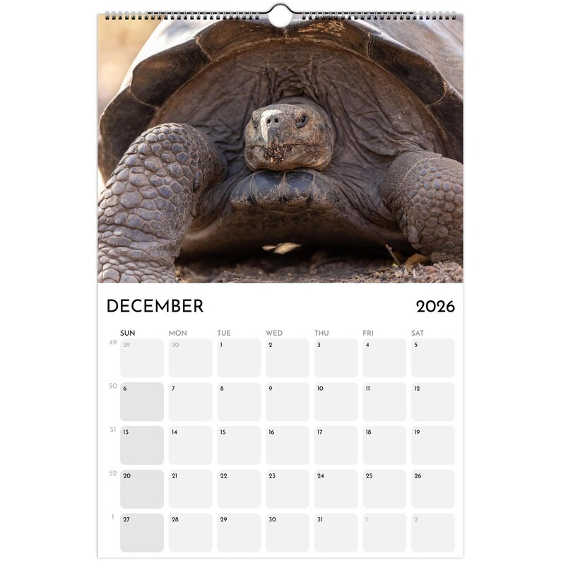 Galapagos Animal Calendar 2026 – Perfect for Travel Memories & Trip ...