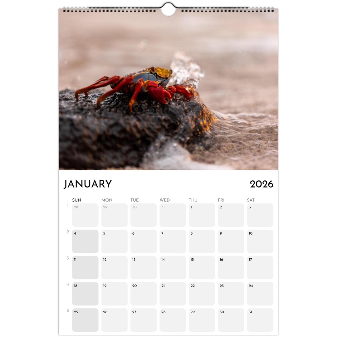 Galapagos Animal Calendar 2026 – Travel Gift, Wildlife Photography - Etsy