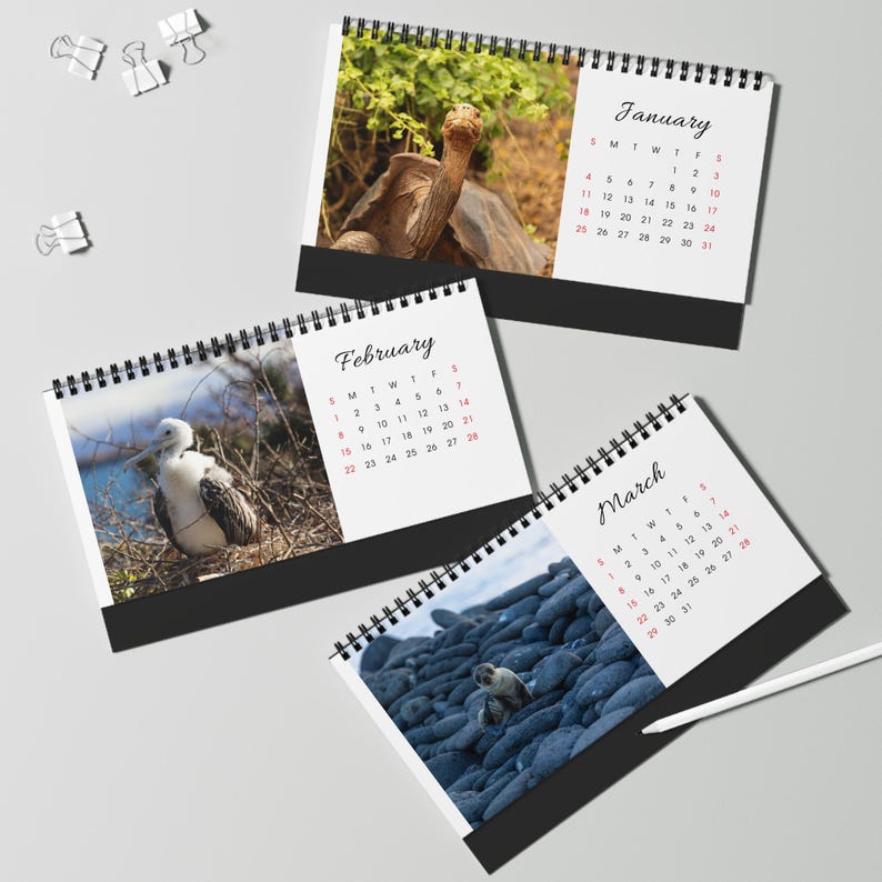 Galapagos Animals Desktop 2026 Calendar | Wildlife and Landscapes Flip ...