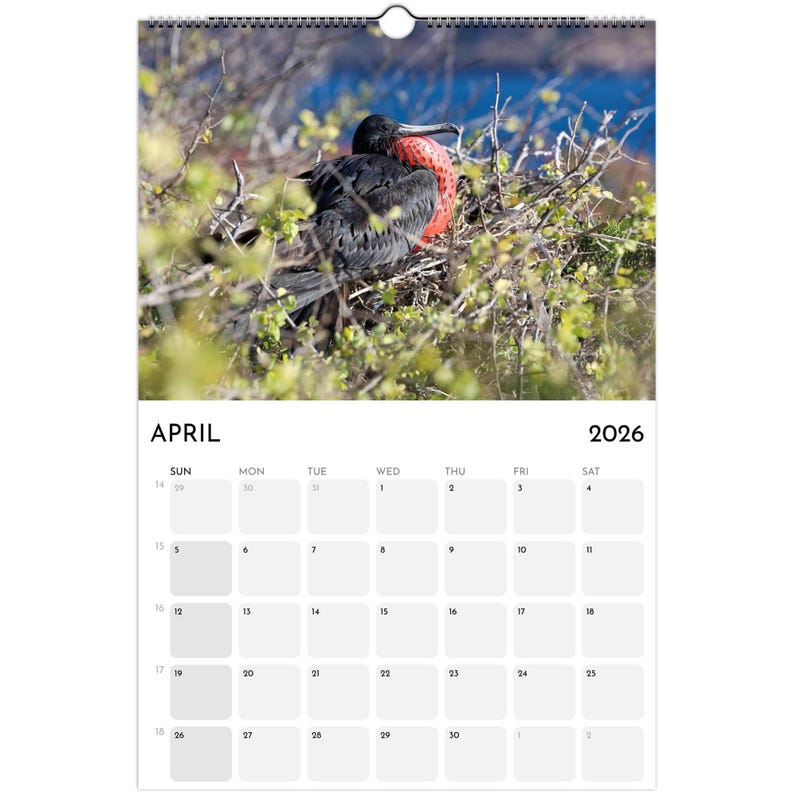Galapagos Animal Calendar 2026 – Travel Gift, Wildlife Photography - Etsy
