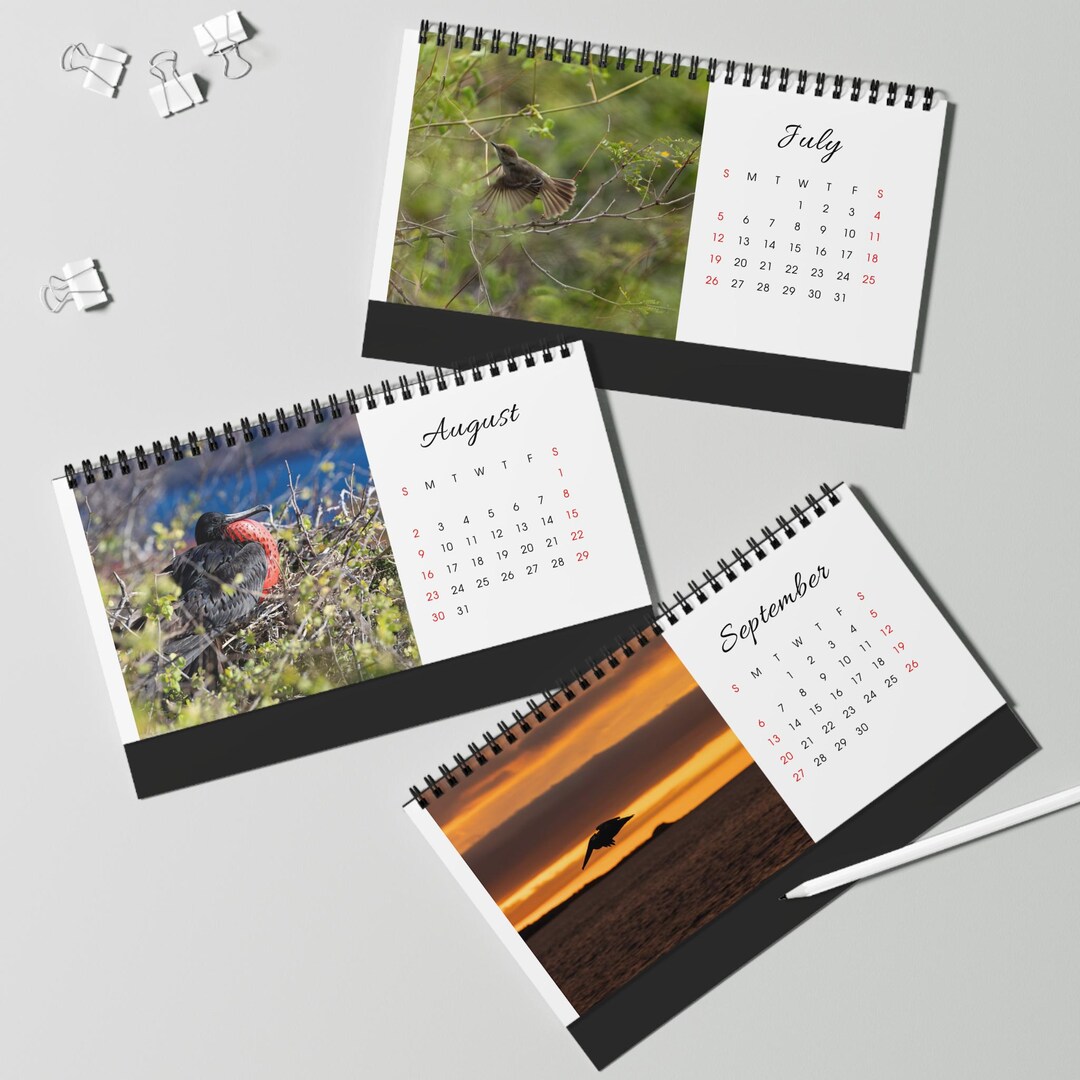 Galapagos Animals Desktop 2026 Calendar | Wildlife and Landscapes Flip ...