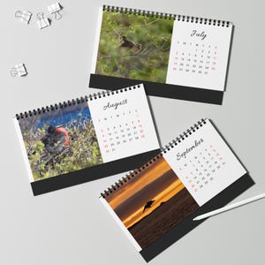 Booby Calendar - Etsy