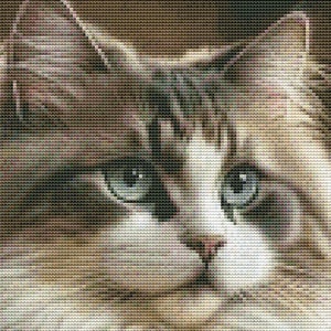 Cat Portrait Counted Cross Stitch Pattern Cats Love Modern Decor ...